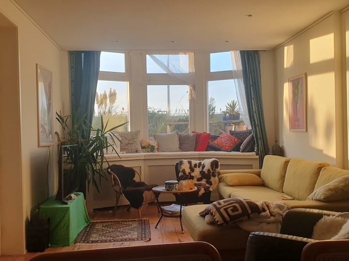 Paradijs Aan De Zeekant - The Hague