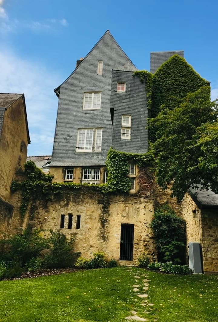 Maison Vieux Mans 5/10 Pers, Parking, Hyper Centre - Le Mans
