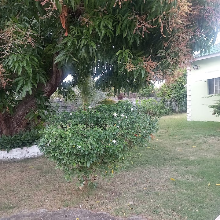Large 2 Bedroom House - Montego Bay