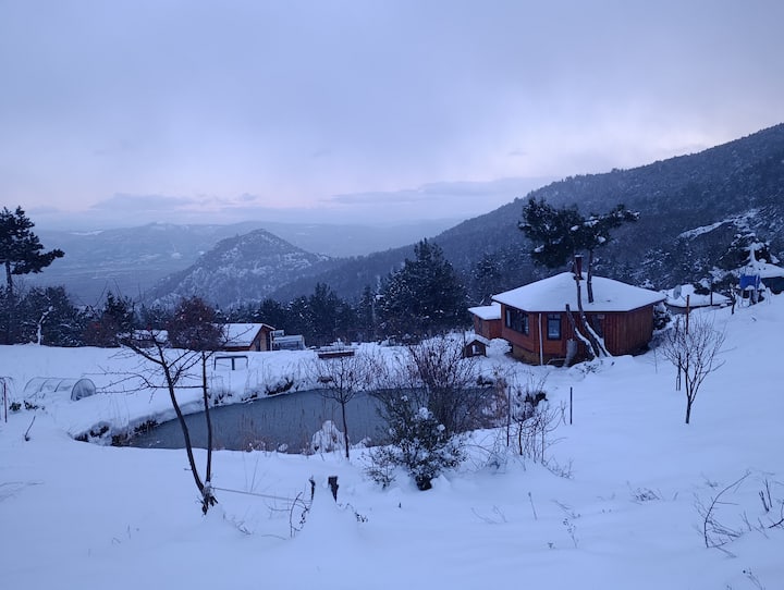 Doğal Yaşam ÇIftliği. - Kocaeli