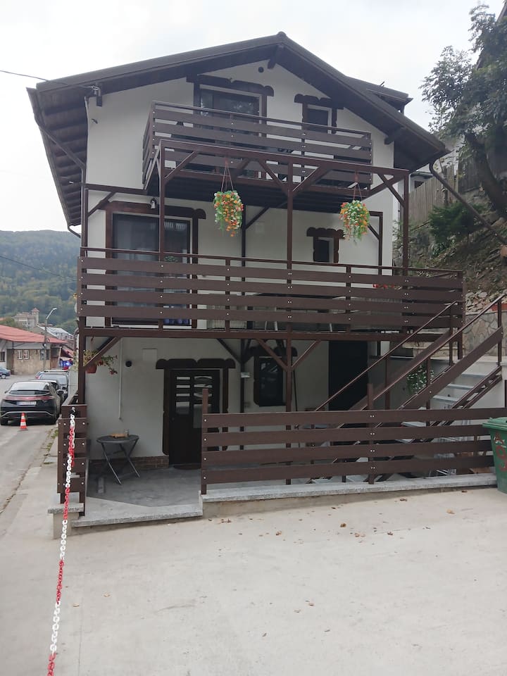 Mini Apartament - Bușteni