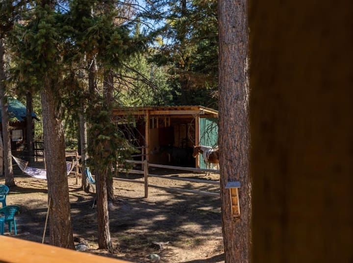 Relax Nestled Into The Mountain - Merritt