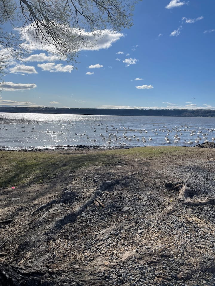 Bungalow De Luxe Avec Magnifique Vue Sur Le Fleuve - Quebec
