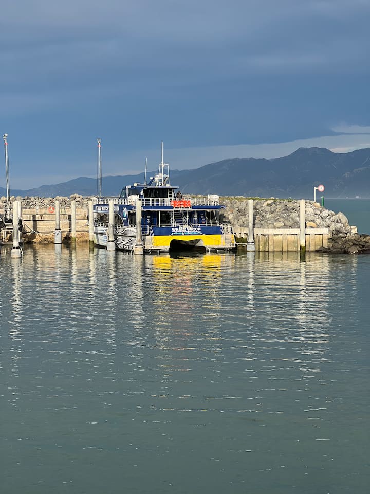 Blue Haven In The Bay
Southbay Kaikoura - Kaikōura