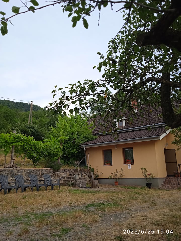 Hegyi Tücsök Vendégház - Badacsony