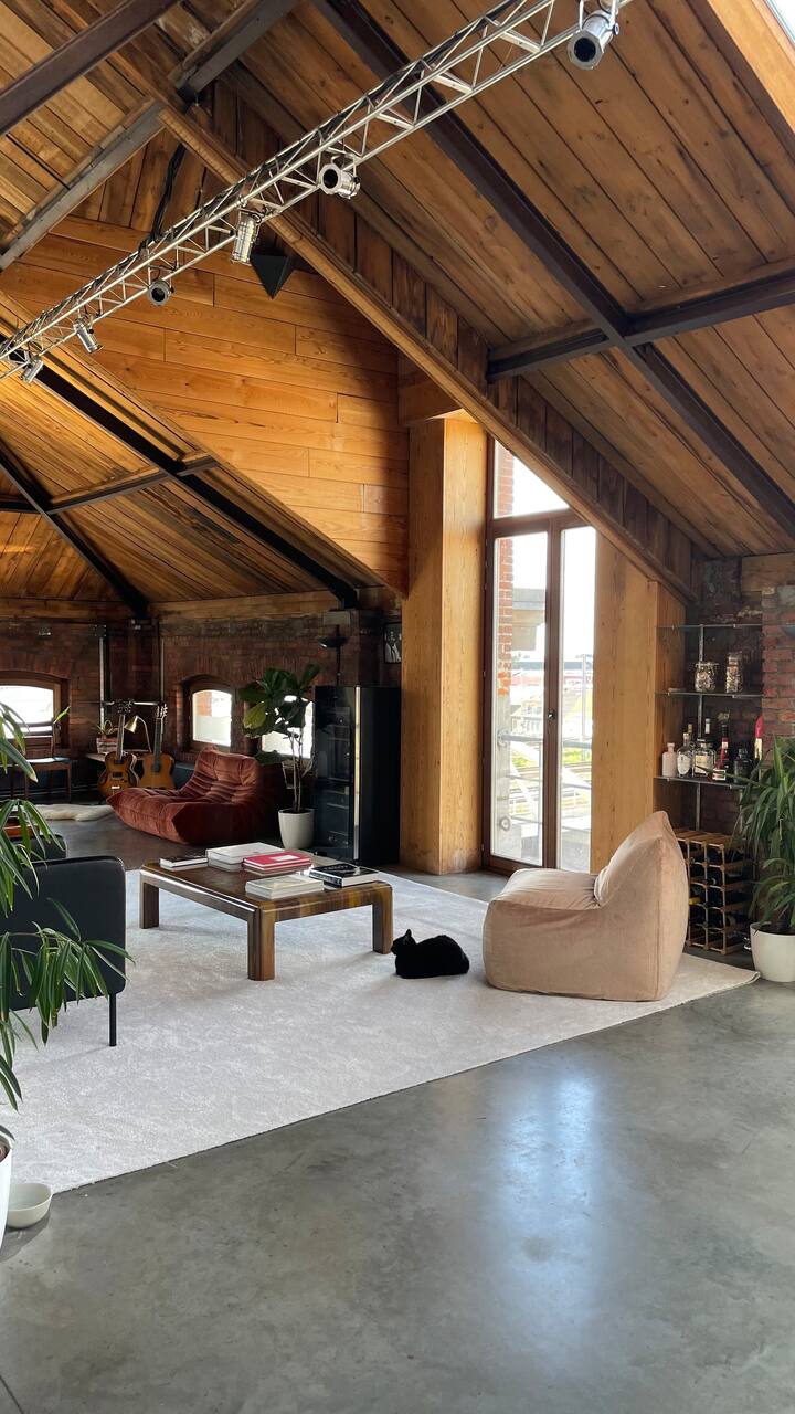 Bright Loft With Sunset Skyline - Brasschaat