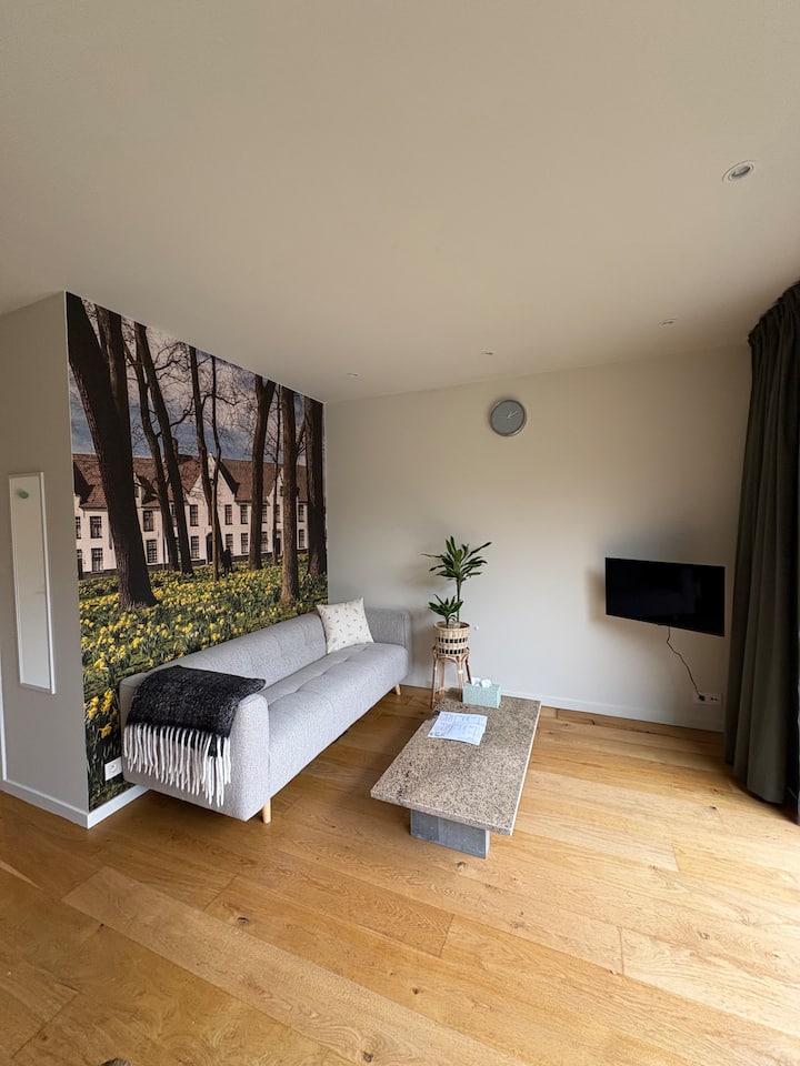 Gezellige Gastenkamer Brugge - Brugge