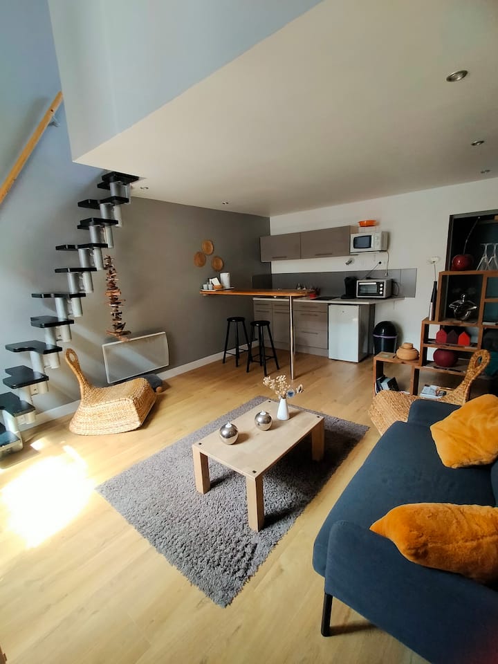 Appartement Cosy - Villeneuve-d'Ascq