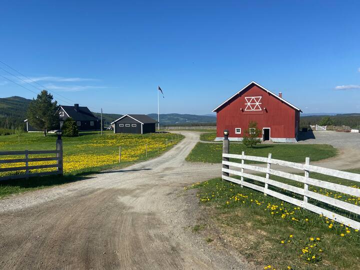 Heidis Vakre Gård På Næroset - Moelv