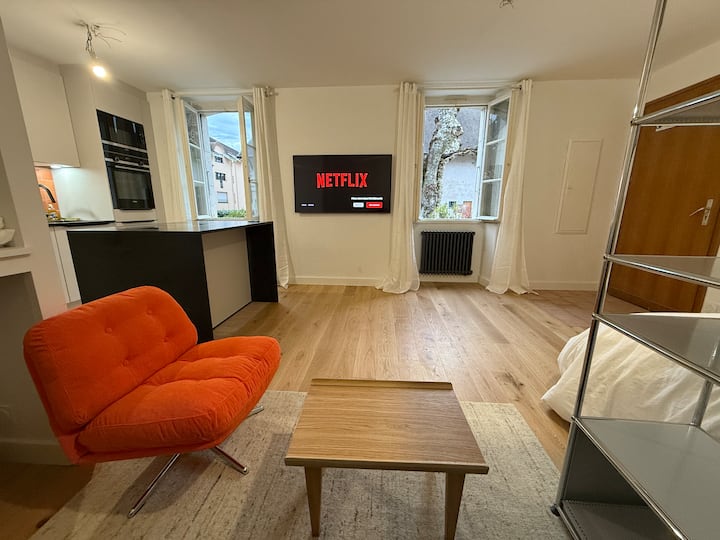 Lovely Luxury Studio - Ferney-Voltaire