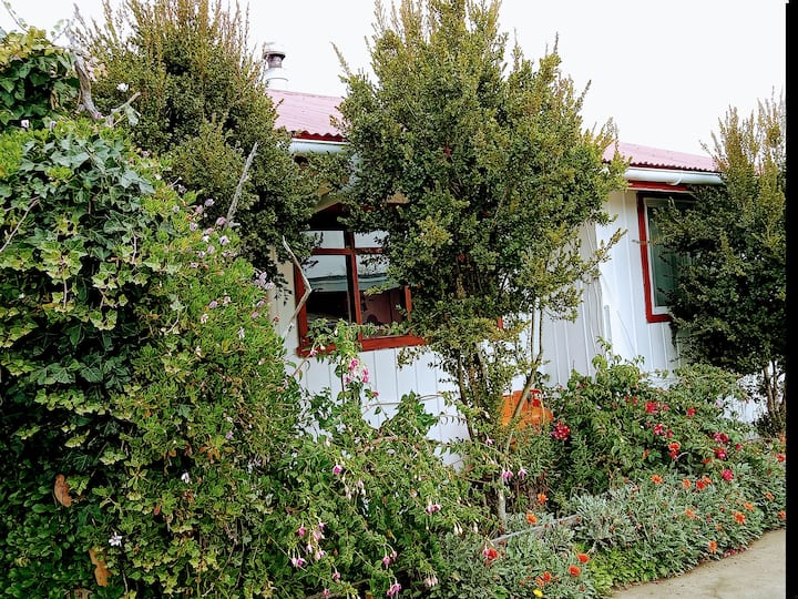 Hermosa Cabañas En Cucao Chiloe N⁰ 3 - Isla Grande de Chiloé