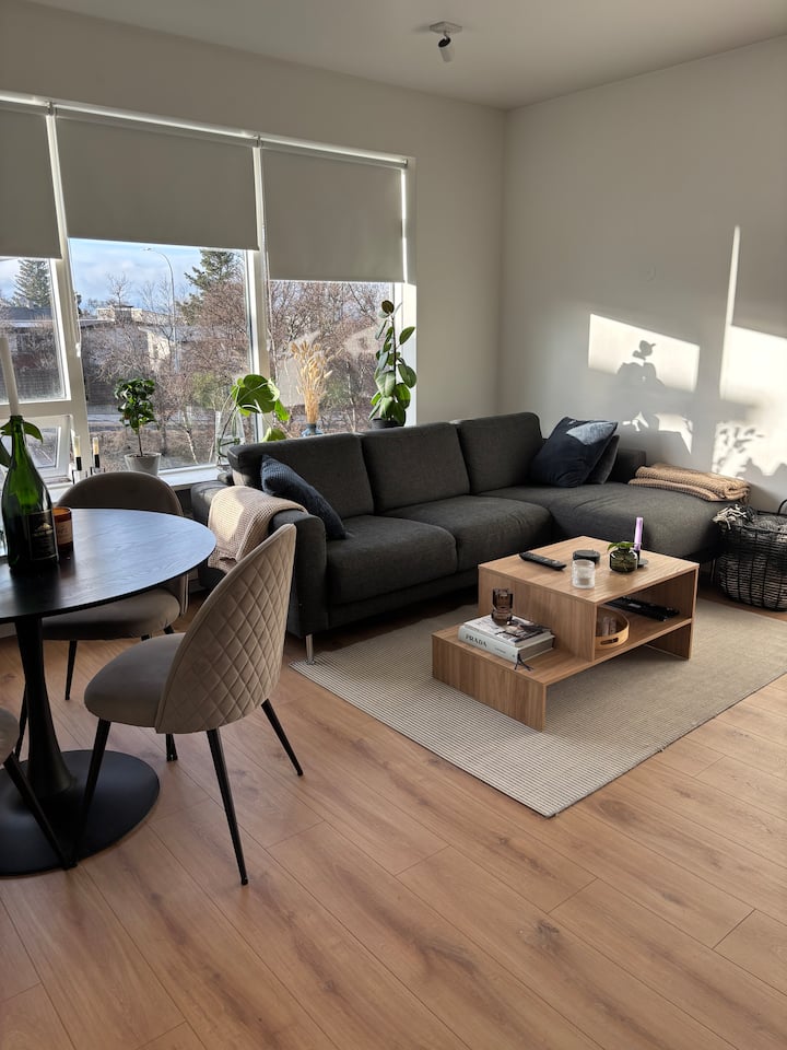 Cozy And Well Located Flat - Reykjavik