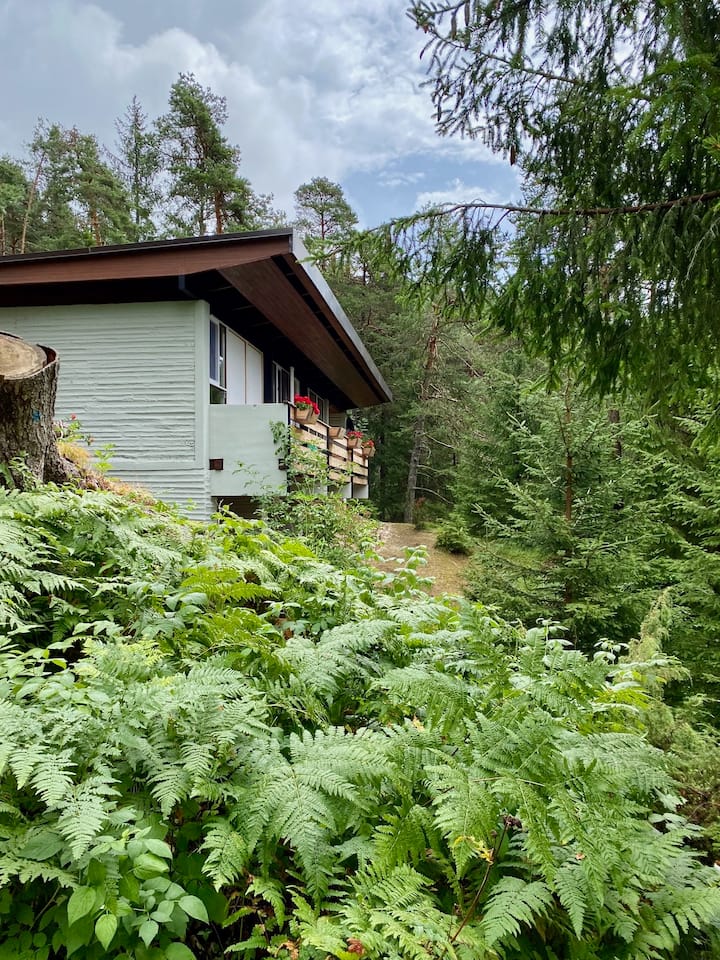 Ca' Mugo, Design Chalet In The Forest Near Cortina - Borca di Cadore