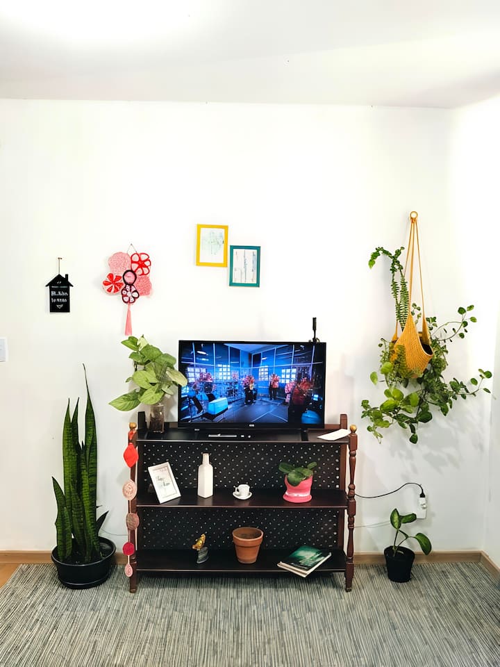 Apartamento Aconchegante E Climatizado No Fragata - Pelotas