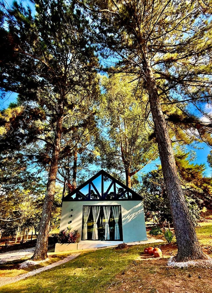 Cabana Bougainville - Castro, Brazil