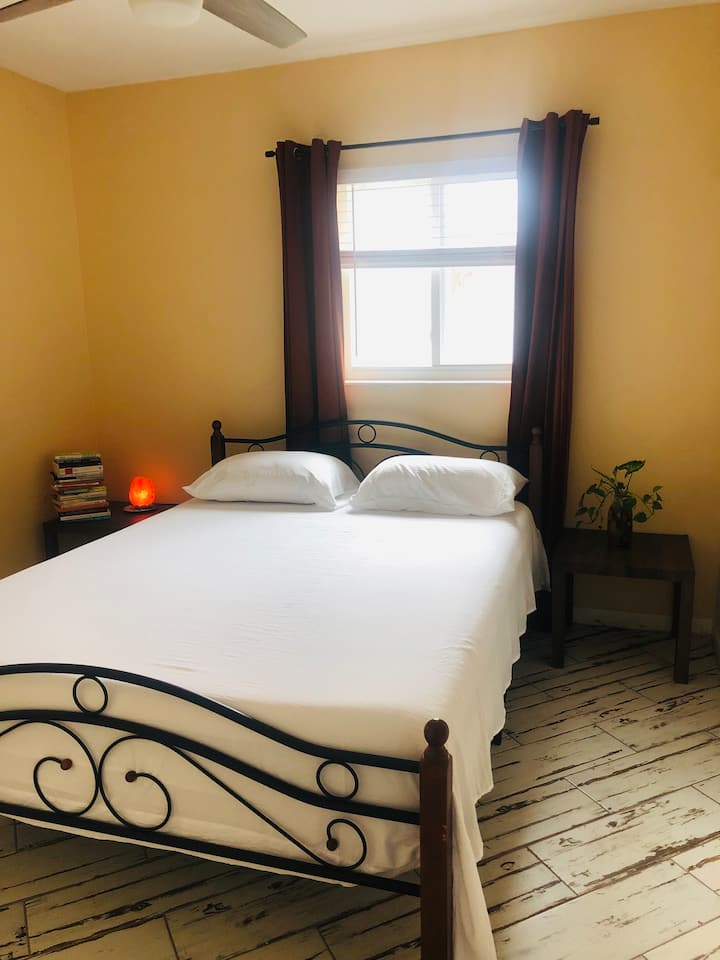 Private Room In Beautiful Saint Petersburg - St. Petersburg, FL