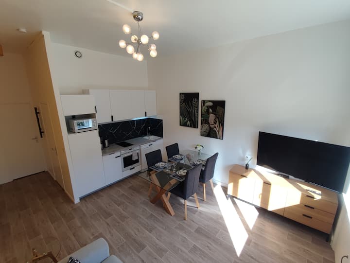 Appartement 1ch. Moderne Plein Centre Tok-tok S1 - Seclin