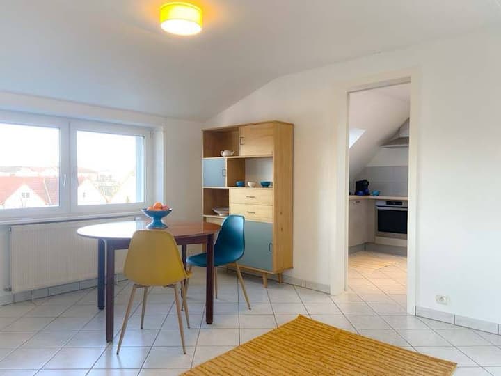 Studio Spacieux Avec Terrasse - Bischheim