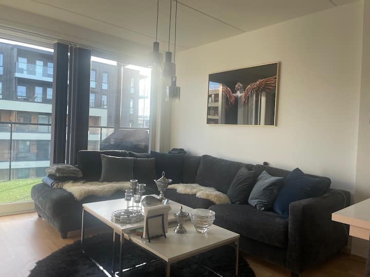 Very Nice And Central Apartment - Trondheim