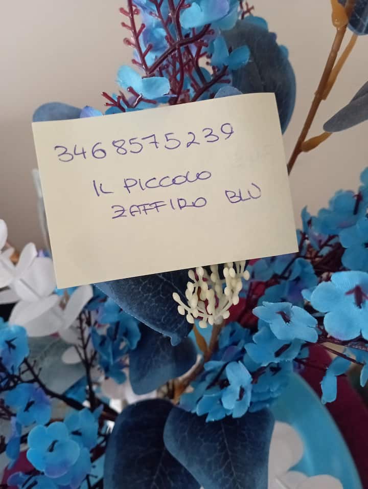 Il Piccolo Zaffiro Blu - Isernia - Isernia