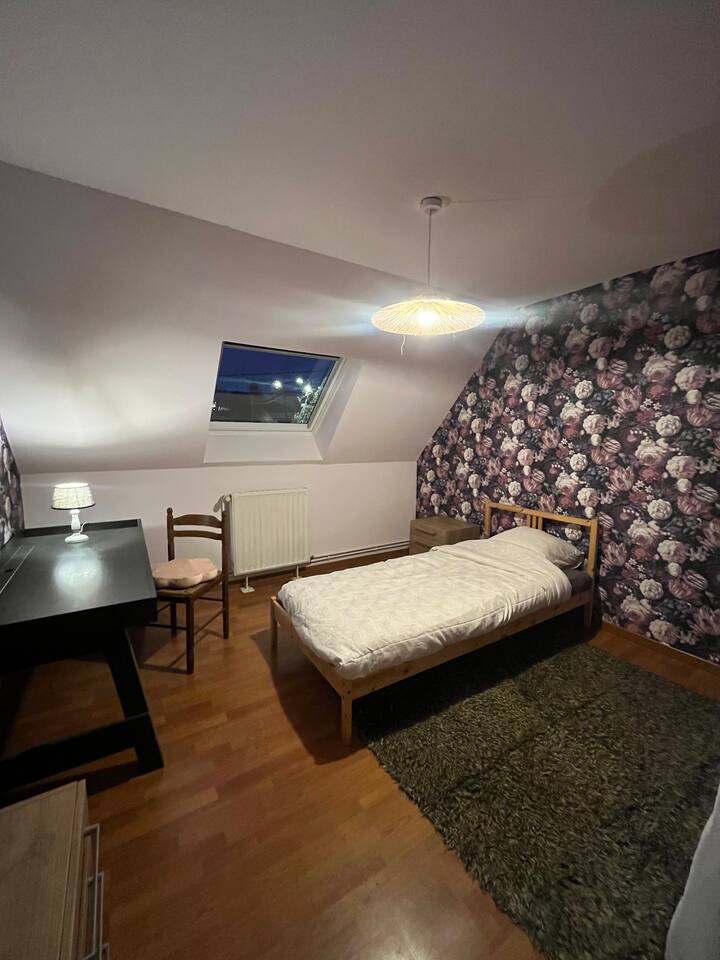 Apparemment Convivial 4 Chambres - Tournai