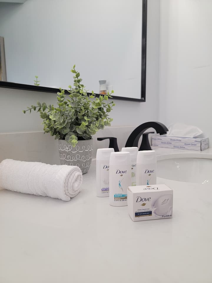 Great 3br In Sodo-near Mco, Downtown & Themeparks! - Orlando