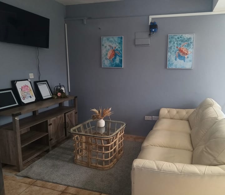 Roseau City Hub Apartment # 1 - Roseau