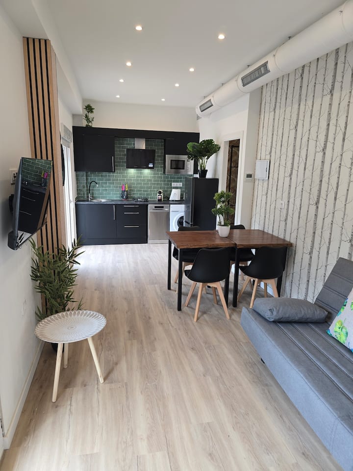 Apartamento Lina A - Gandia