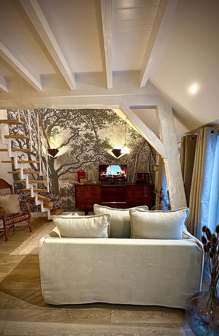 ÉLégant Appartement Lumineux En Cœur D’orléans - Orléans