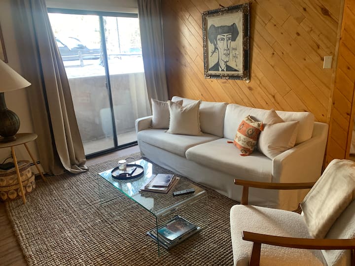 Aspen Pied A Terre - Aspen, CO