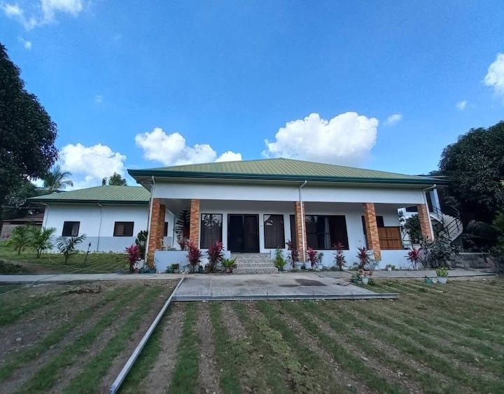 Ginena's Panglossian House - Taal