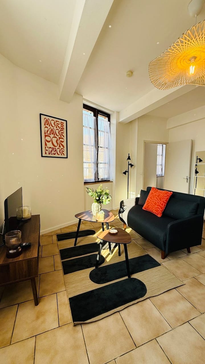 Appartement Avec Vue Imprenable Sur Le Pont Vieux - Albi