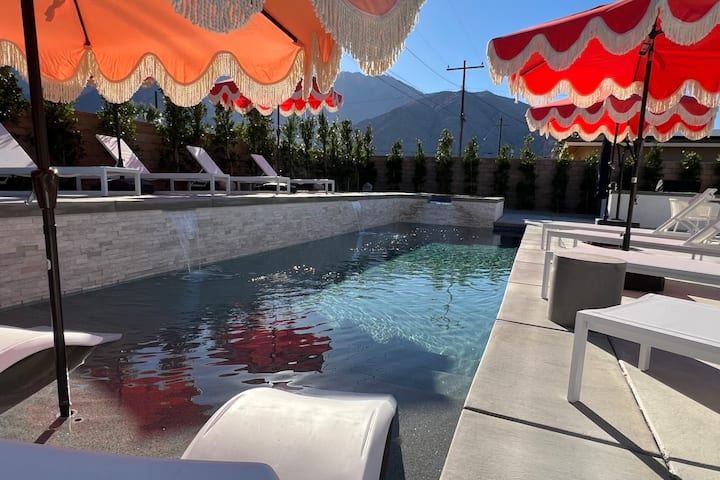 Blissful Bird Of Paradise - Palm Springs, CA