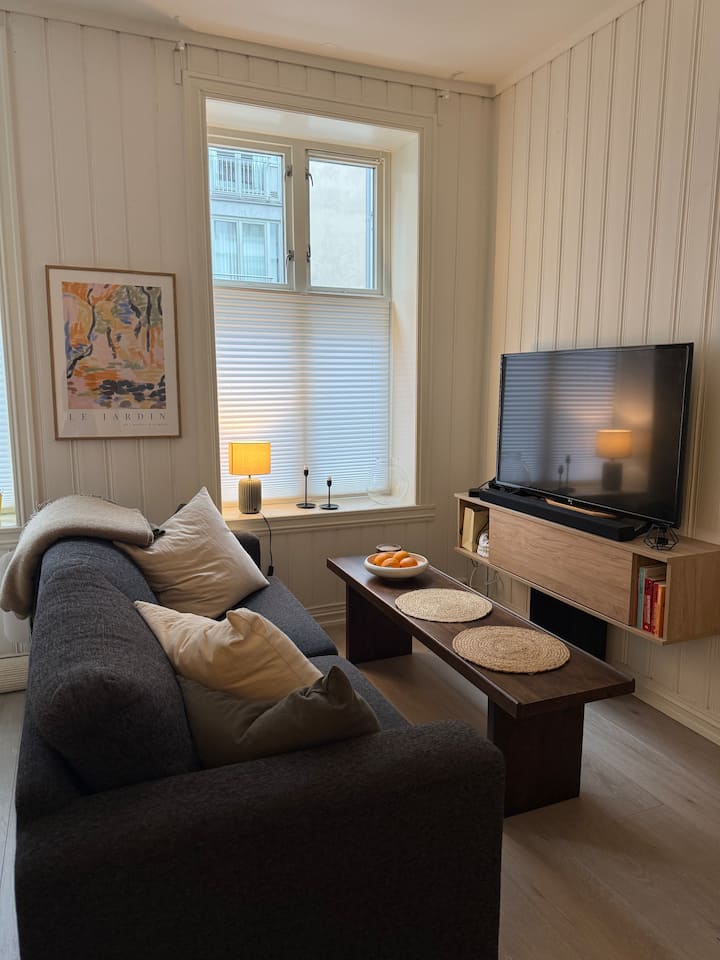 Oslo City Center | Cozy 1-bedroom Apartment - Oslo