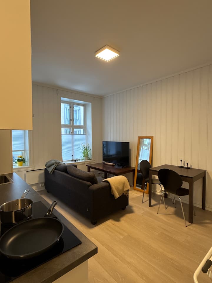 Oslo City Center | Cozy 1-bedroom Apartment - Oslo