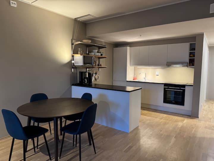 3-roms Leilighet Med Parkering - Trondheim