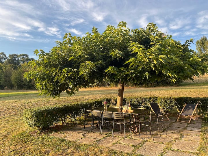 Au Paradis Du Parc Du Mesnil - Normandie