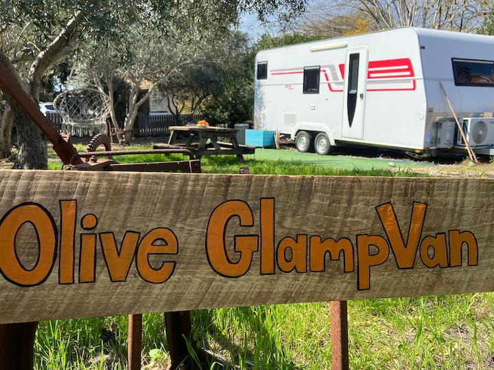 Olive Glampvan - 敘利亞