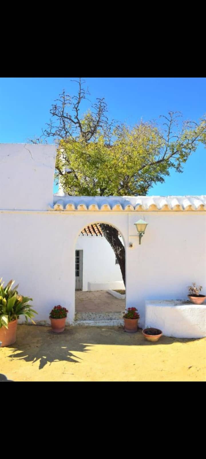 Finca Correa - Marbella