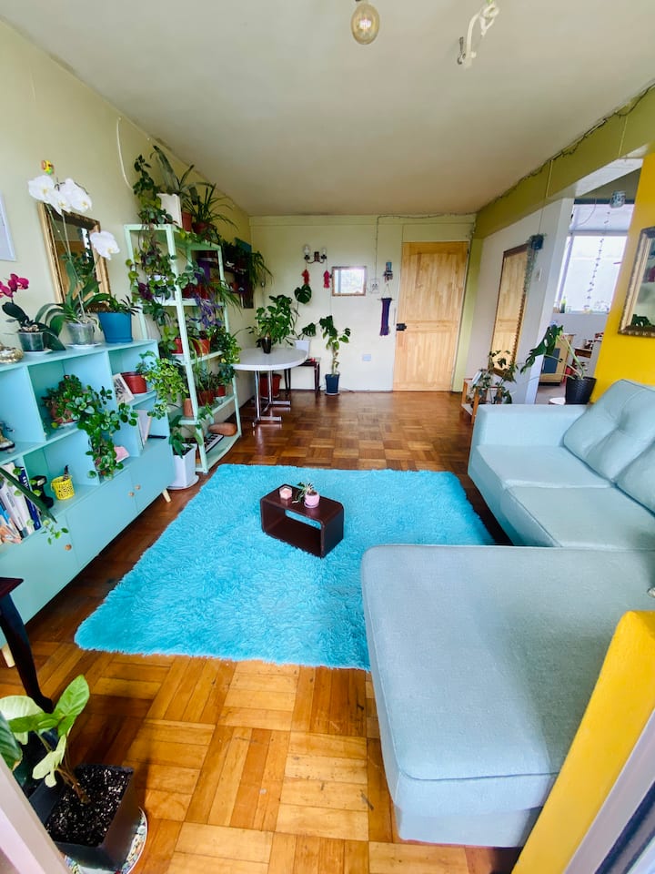 Hostal Reír, Habitación En Apartamento Céntrico - Concepción, Chile