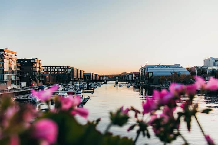 Sentalt Beliggende Leilighet - Trondheim