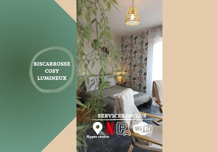 Ultra Centre Cosy Parking Privé Wifi Arrivée24/24 - Biscarrosse