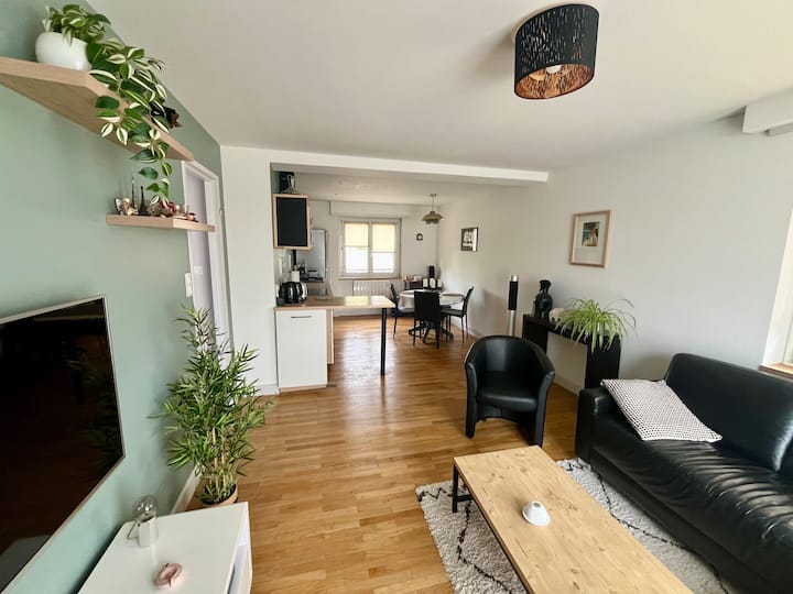 Bel Appartement Sur Colmar - Colmar