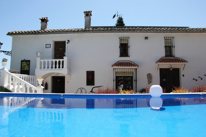 Planta Suit - Segura de la Sierra