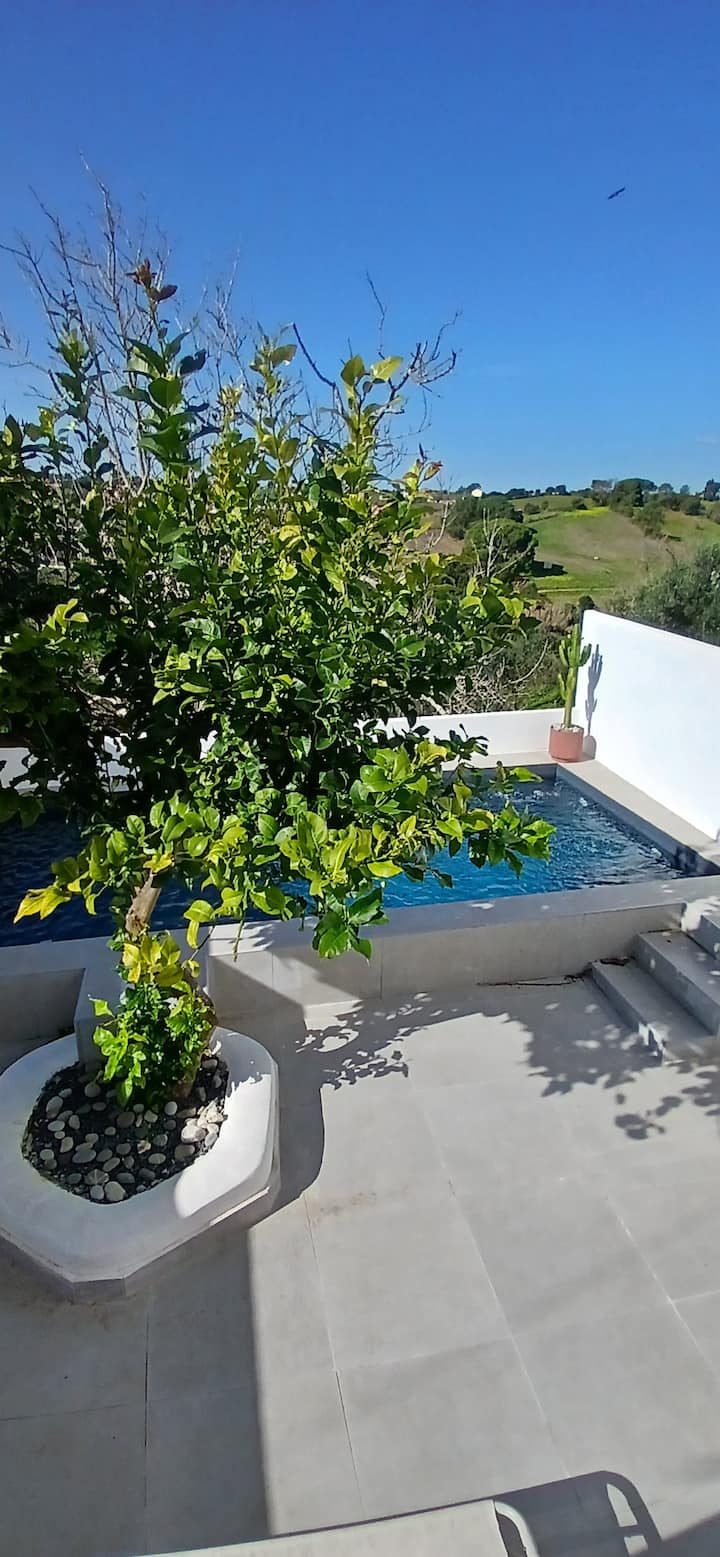 Casa Com Piscina No Alentejo - Porto Covo