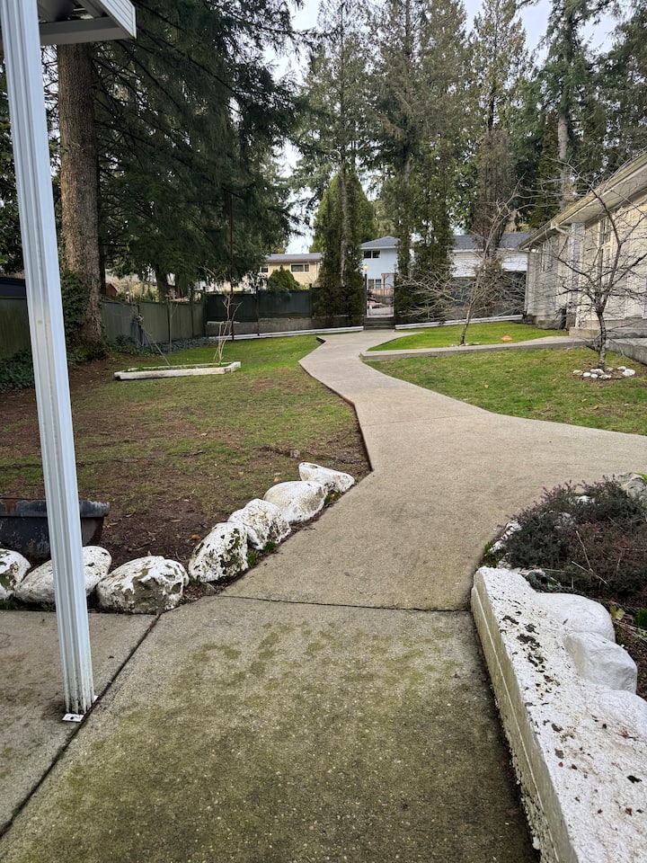 Bus Stop Front Of House Pets Ok - Coquitlam