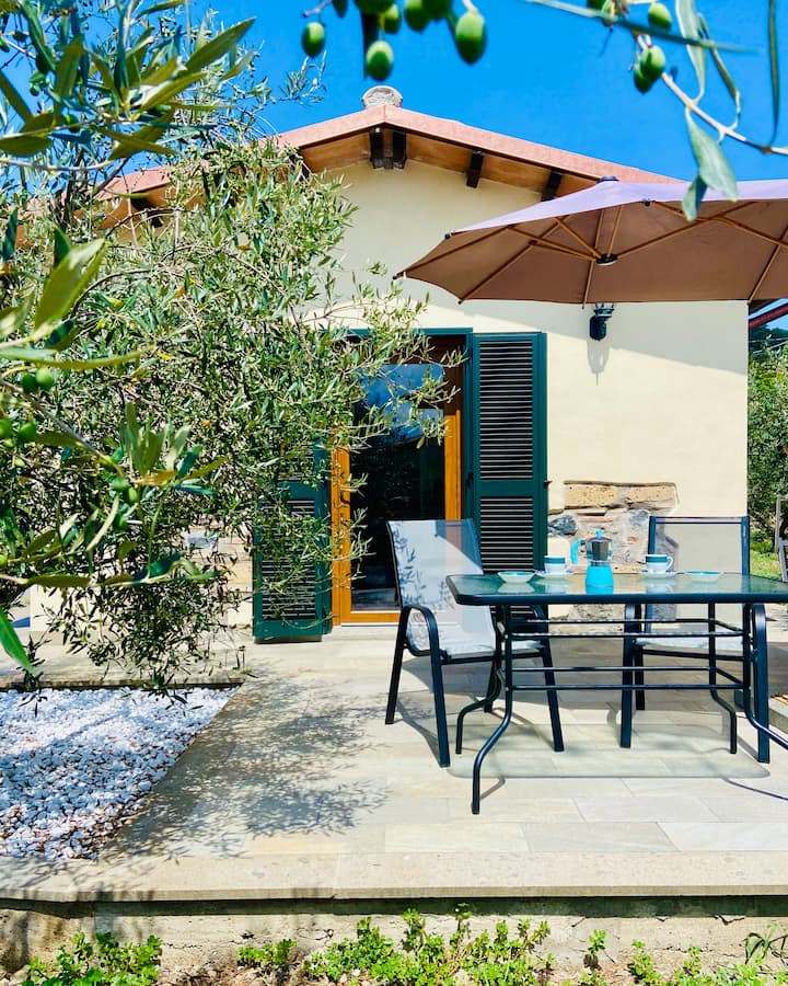 Poggio Garin     Depandance Con Vista E Relax - Bolsena