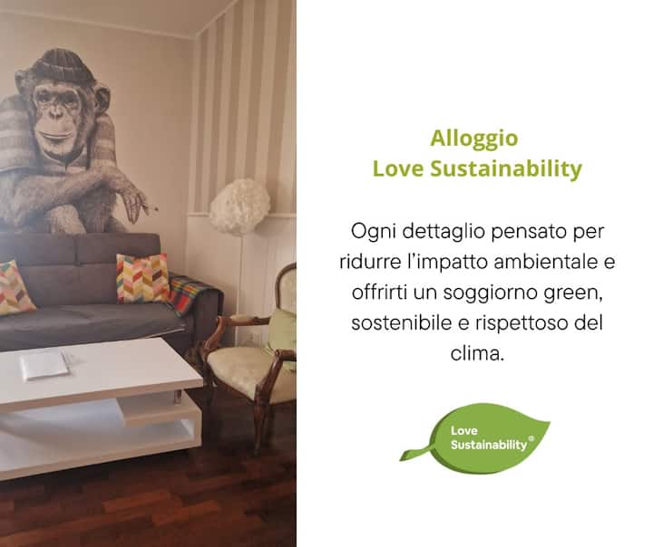 Attico Sui Tetti Della Città Di Rimini - Rimini