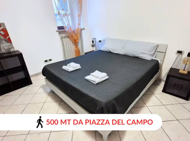 500 M From Piazza Del Campo + Parking + Ztl Free - Siena
