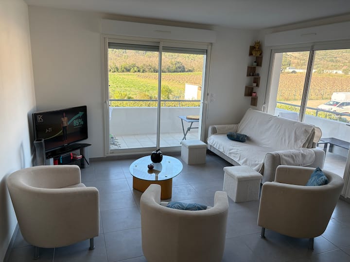 Superbe Appartement A Péret Avec Piscine - Clermont-l'Hérault